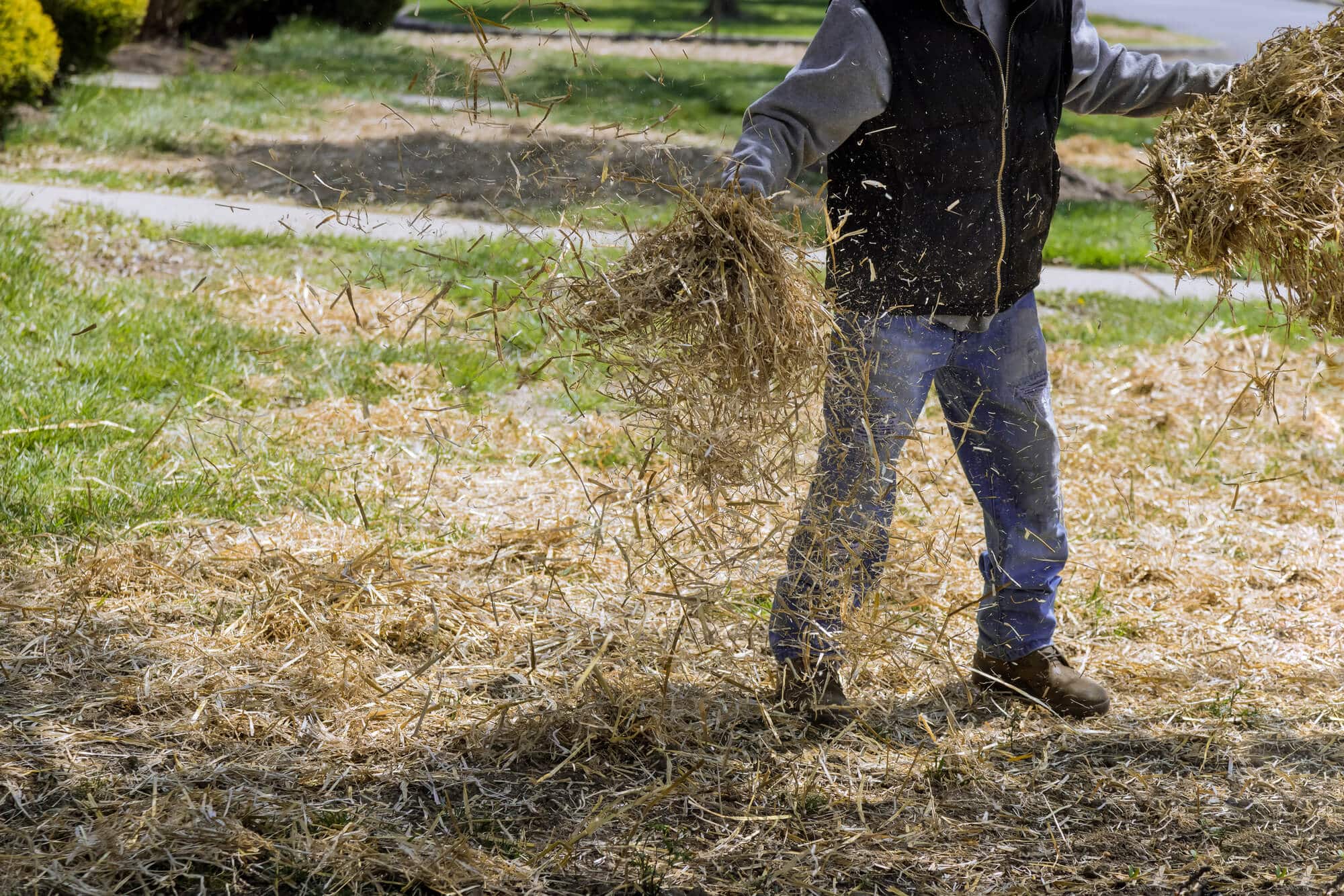 Front Yard Landscaping Ideas With Pine Straw | Big Easy Landscaping